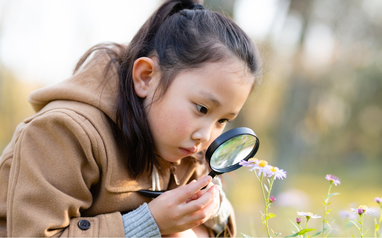 Use Visual Look Up in Photos in iOS 15 to Identify Plants, Pets, and ...